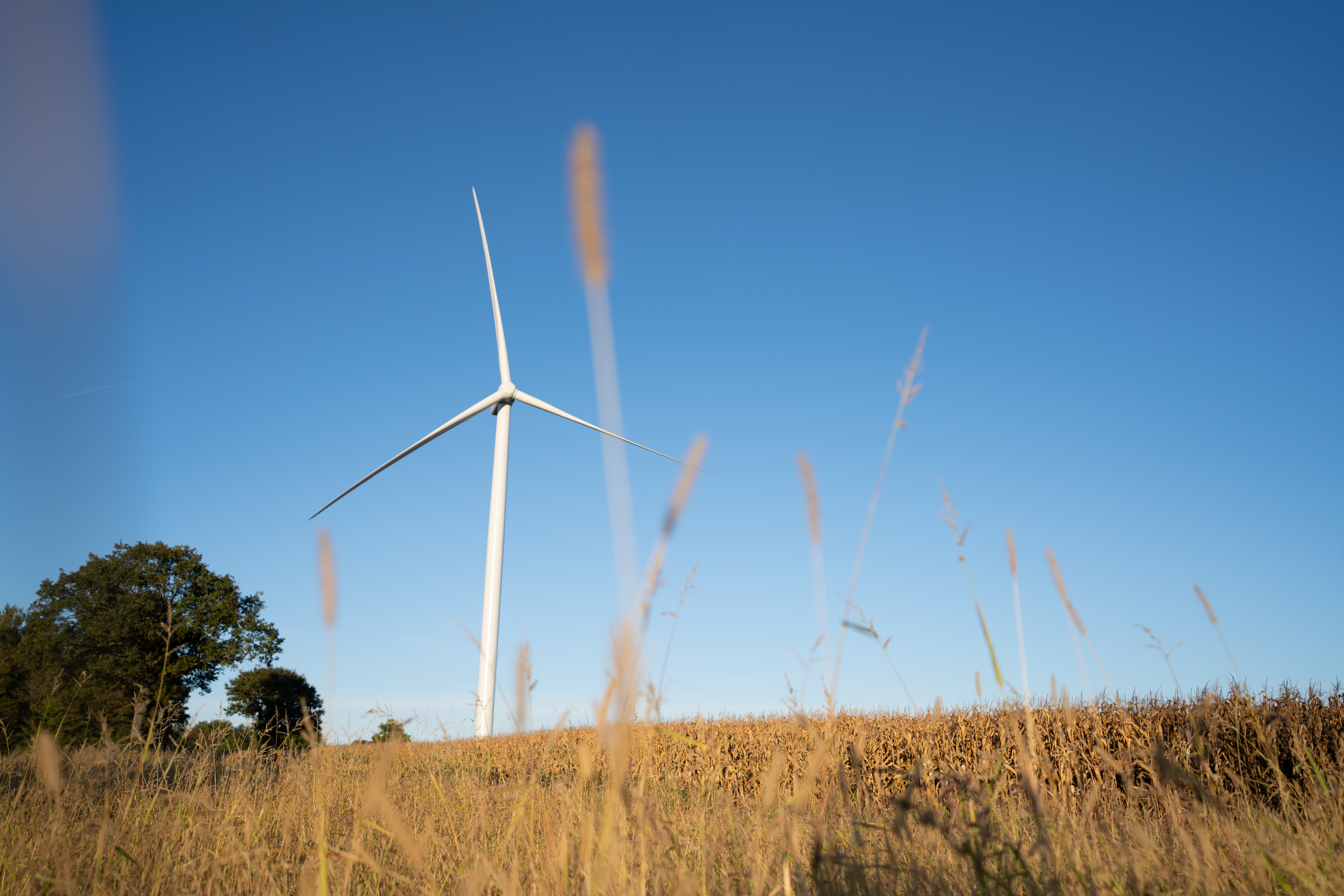 Sustainability | RP Global